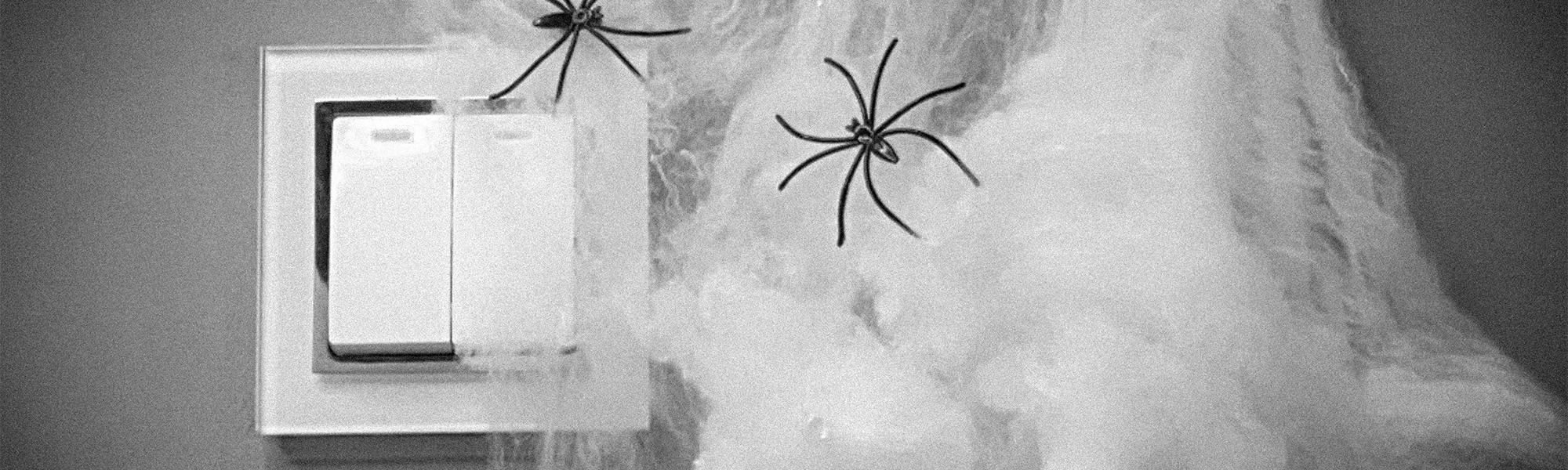 Darken Your Decor Just In Time For Halloween RetroTouch Light Switches ...