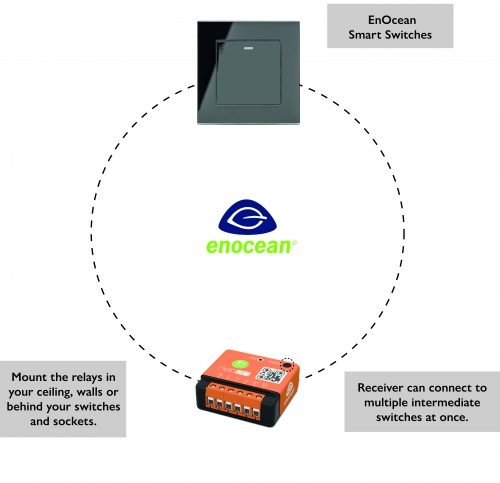 EnOcean Wireless Switch and NodOn Receiver Starter Kit - Black PG ...